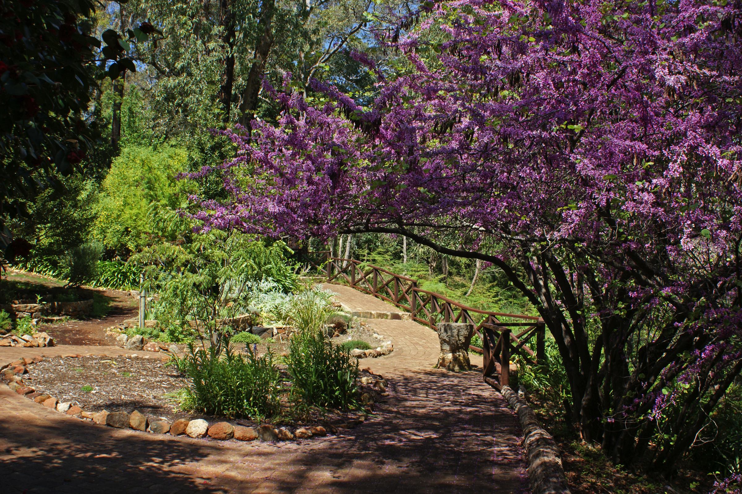 Araluen Botanic Park