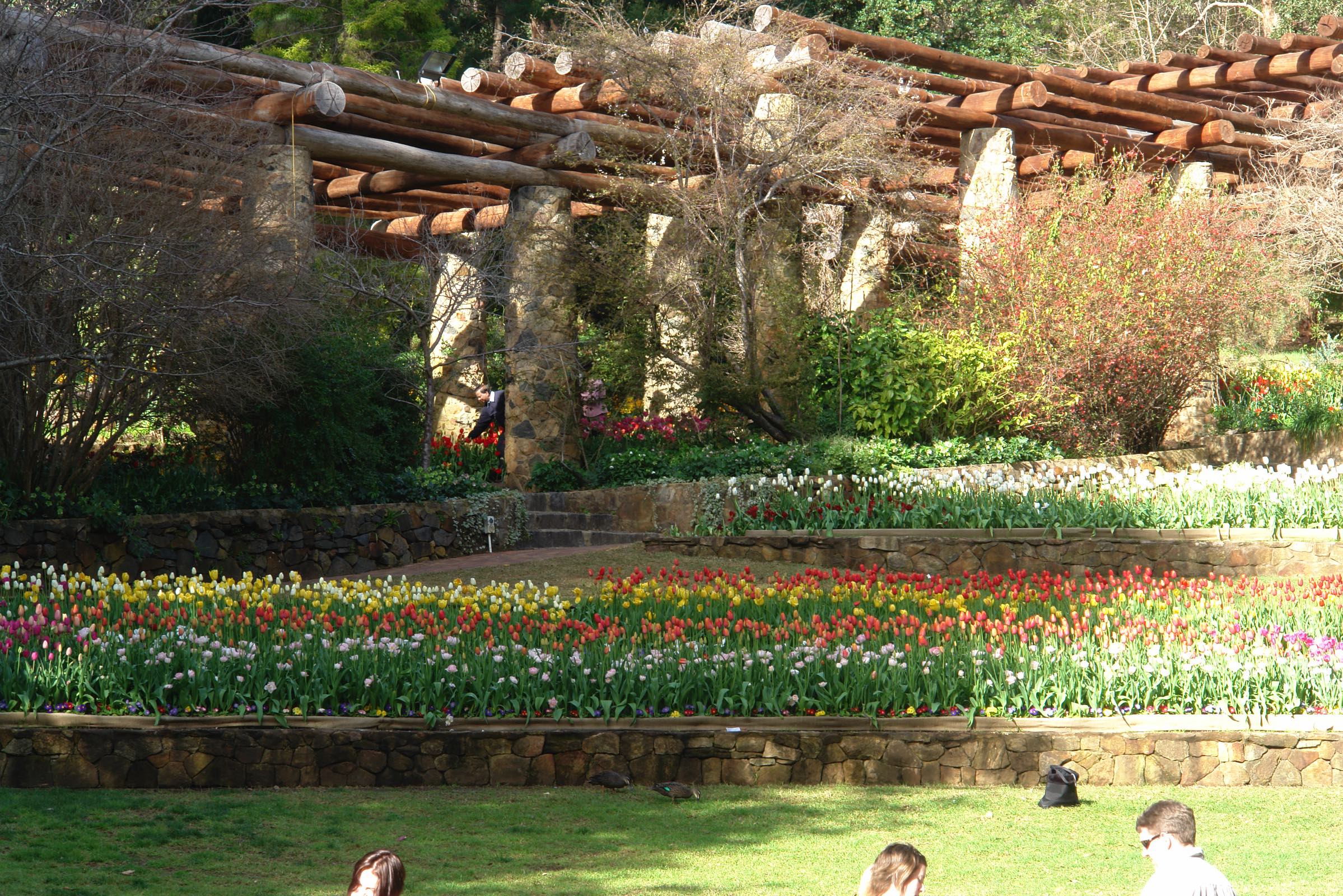 Araluen Botanic Park