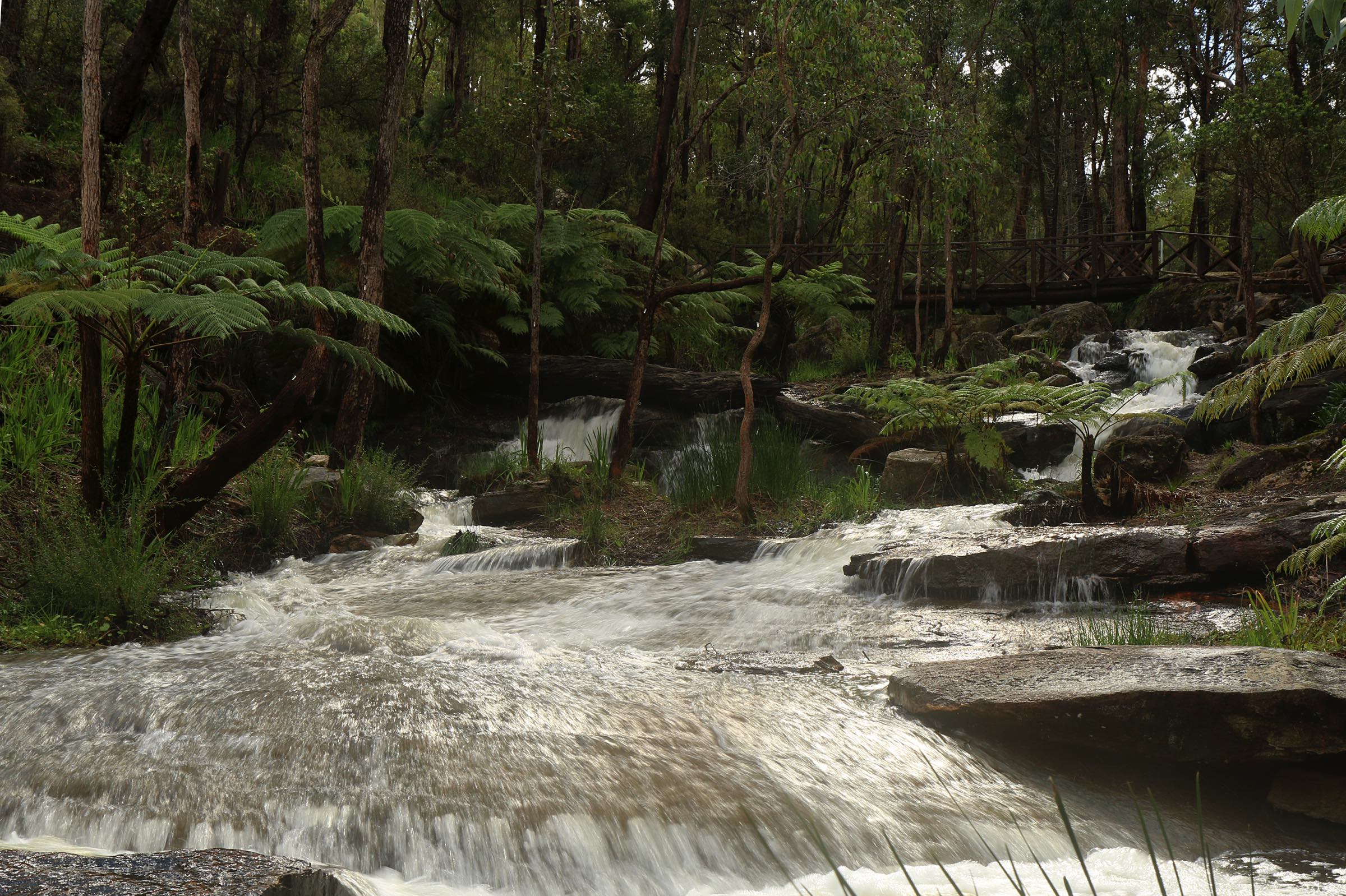 Araluen Botanic Park